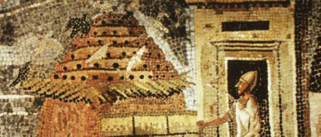 The Pigeon Post - Wings of History - Technologies of Text